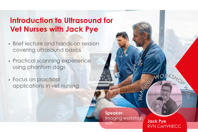 LVS 2024 - More than just imaging