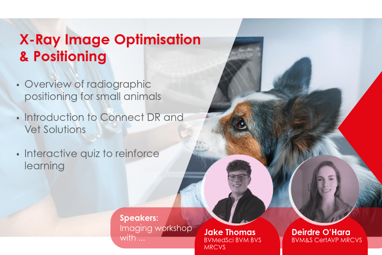 LVS 2024 - More than just imaging