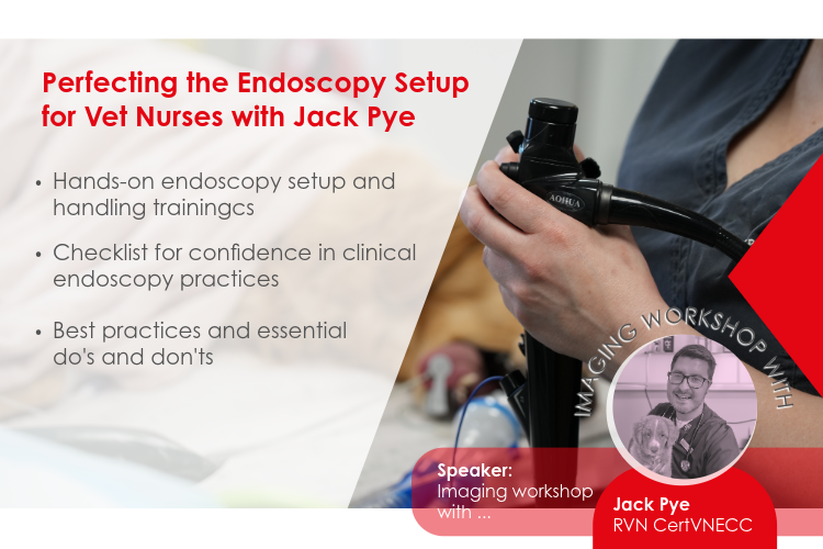 LVS 2024 - More than just imaging